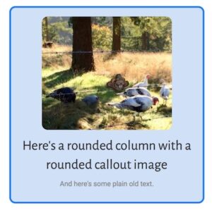 Rounded Corners On Columns and Photos – DropFunnels Support – Home